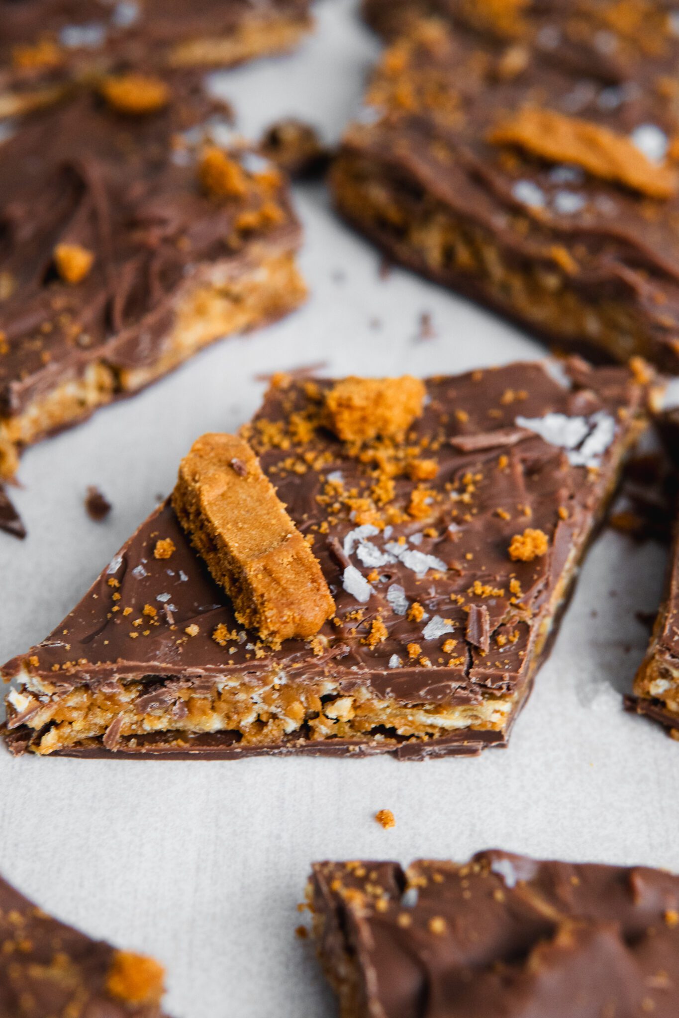 Cookie Butter Chocolate Bark {with potato chips} Recipe